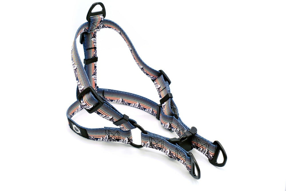 Euro Dog Collars and Leads Affordable Luxury Quality Made in the USA ...