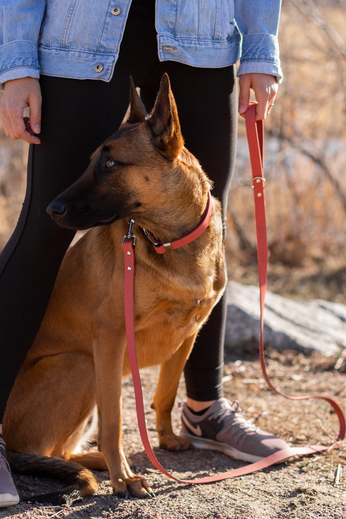 Euro Dog Collars and Leads Affordable Luxury Quality Made in the USA ...